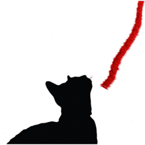 How Unlock the Scrambler Makes Her Chase You